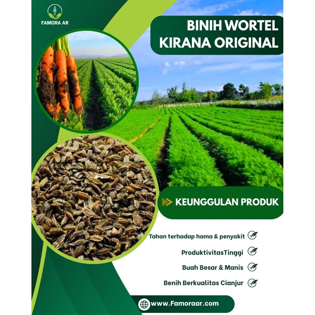 Jual Benih Wortel Kirana Original Berkualitas 200 pcs | Tahan Hama ...