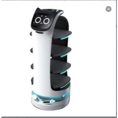 Jual BELLABOT PUDU - Robot Pelayan AI Generasi Terbaru dengan Teknologi ...