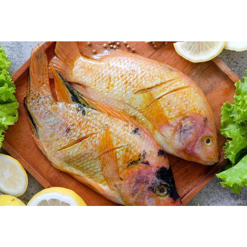 Jual Ikan Nila Bumbu kuning siap goreng / Ikan nila vacum Frozen isi 2 ...