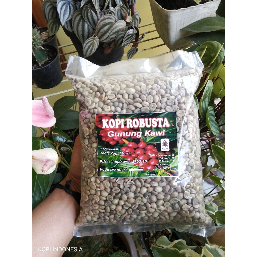 Jual 1KG KOPI ROBUSTA BIJI KECIL,PREMIUM, KOPI BANGELAN,GUNUNGKAWI ...