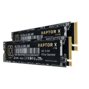 Jual SSD MCQUEST RAPTOR-X 512GB M2 NVME | Shopee Indonesia