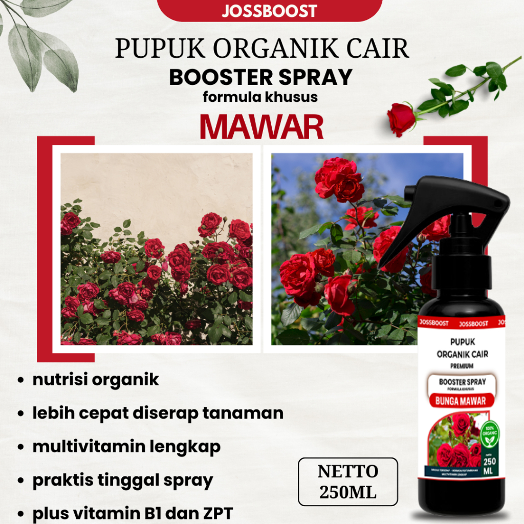Jual Pupuk Organik Cair Spray Tanaman Hias Bunga MAWAR Plus Hormon ZPT ...