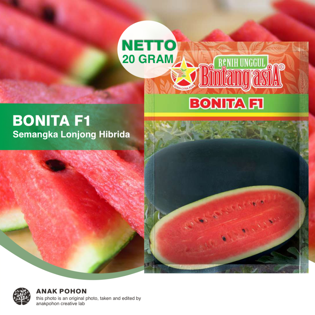 Jual (1 PACK) Benih Semangka BONITA F1 Lonjong Merah Berbiji Hibrida ...