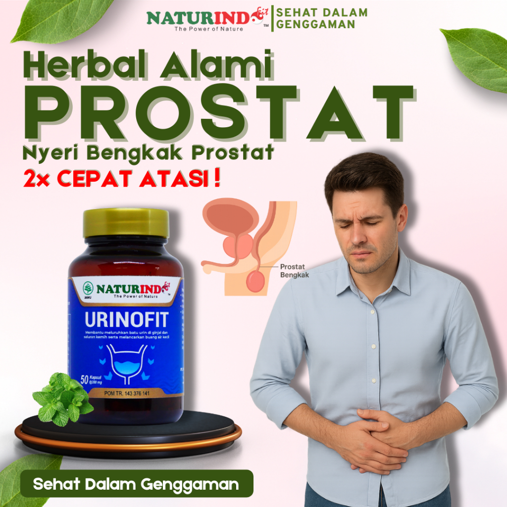 Jual Obat Prostat Herbal Infeksi Saluran Kemih Kanker Bengkak Anyang ...