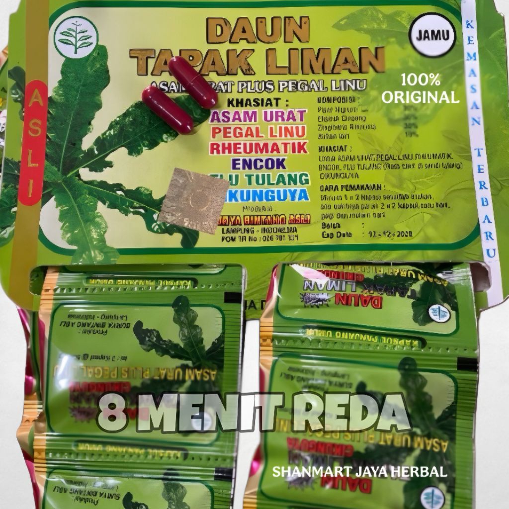 Jual DAUN TAPAK LIMAN ASLI Original (asam urat, pegal linu,rheumatik ...