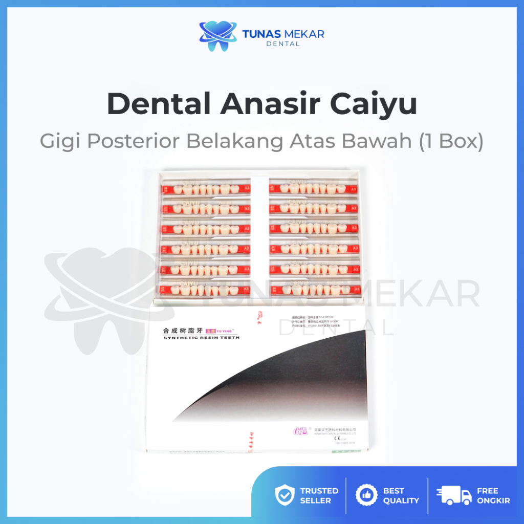 Jual Dental Anasir Caiyu Cayu Gigi Posterior Belakang Atas Bawah 1 Box ...
