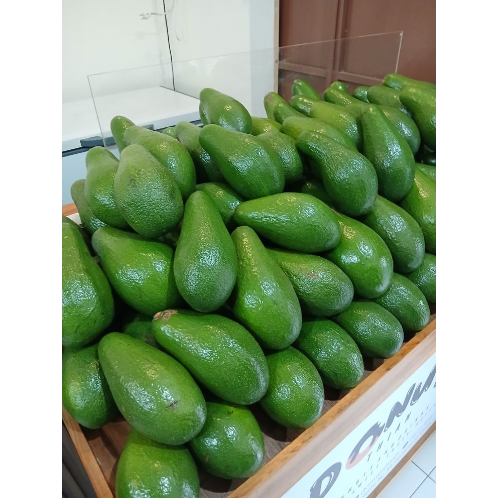 Jual Alpukat Pluwang 1 kg | Shopee Indonesia