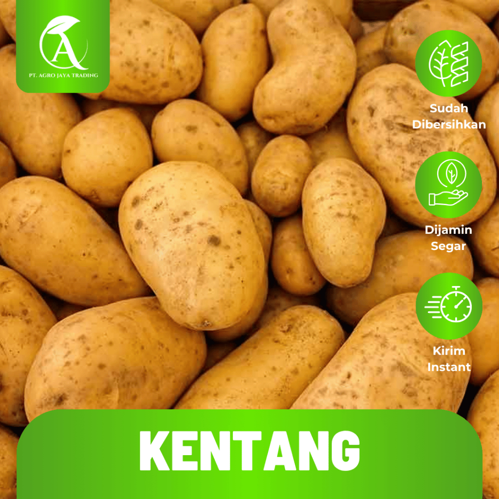 Jual Kentang Dieng 1kg Premium Segar Fresh Ukuran Besar Kentang Rendang ...