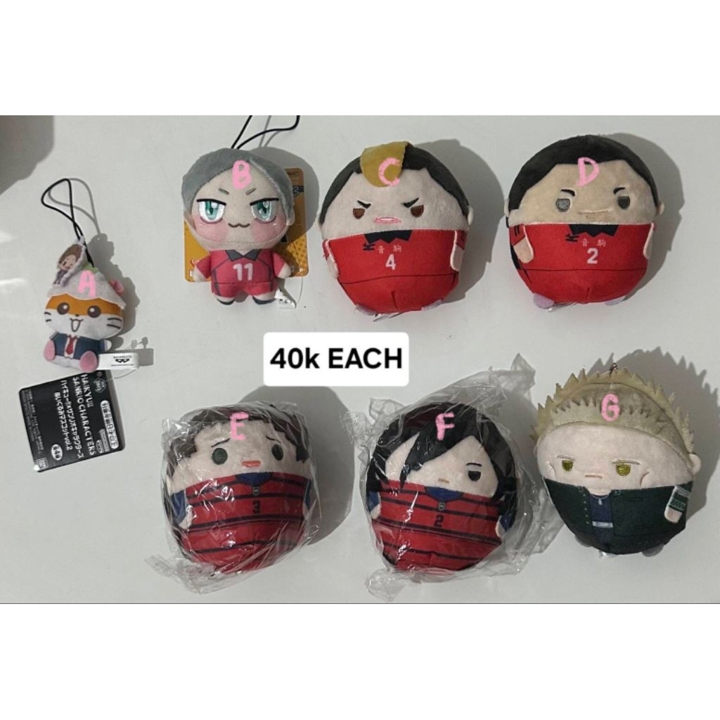 Jual chopinui fuwakororin fuwa haikyuu hq nekoma blue lock bllk wind ...