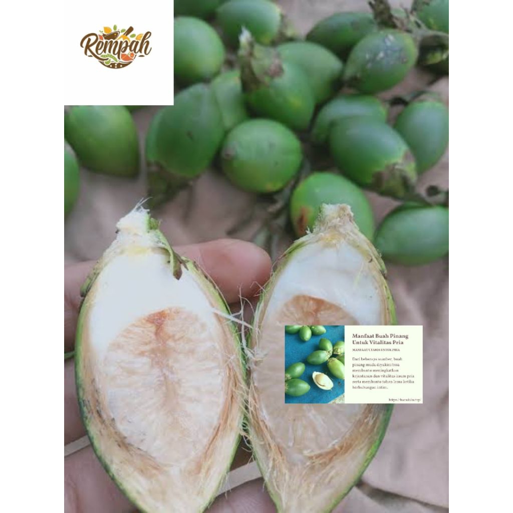 Jual Pinang muda pesan langsung petik per kg | Shopee Indonesia