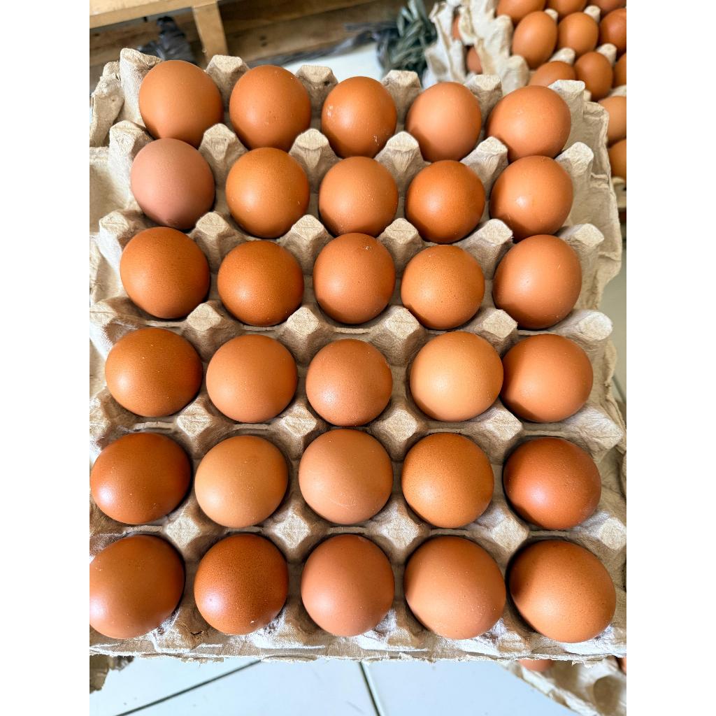 Jual TELUR AYAM NEGERI 30 BUTIR/TRAY FRESH HALAL | Shopee Indonesia