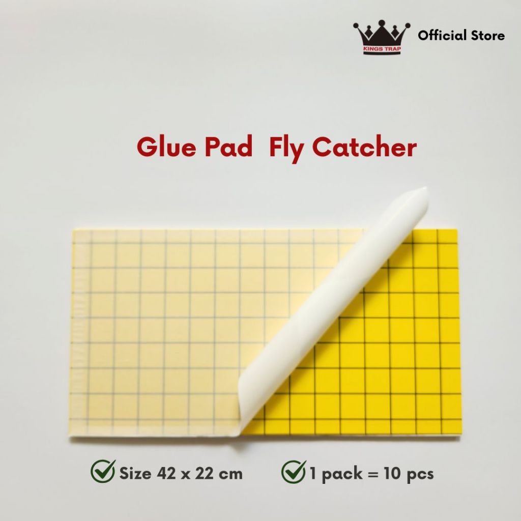 Jual KINGS TRAP - 10 pcs Glue Pad Fly Catcher, Kertas Lem Insect Trap ...