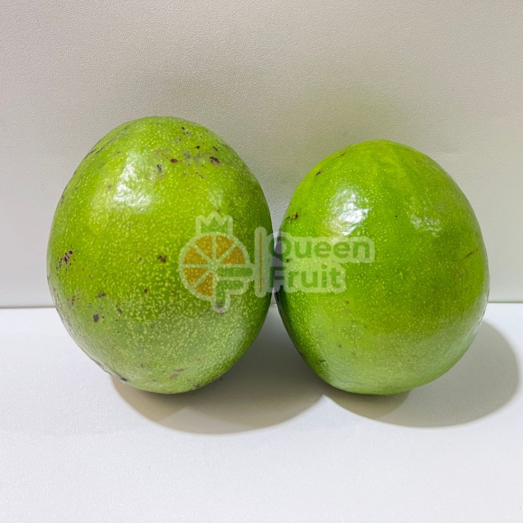 Jual alpukat besar 500gr/kondisi belum mateng | Shopee Indonesia