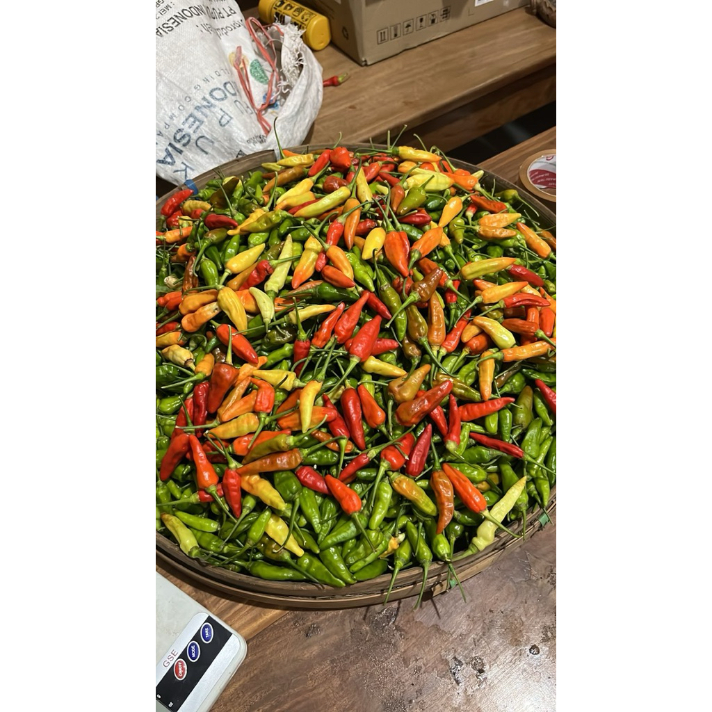 Jual LOMBOK HIJAU MERAH (PARON) SEGAR LOKAL | Shopee Indonesia