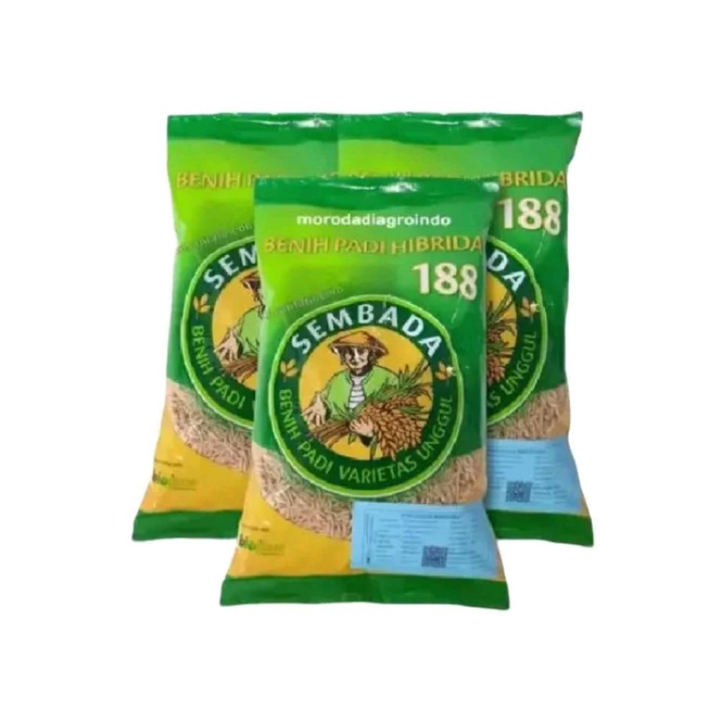 Jual Sembada Benih Padi Hibrida 188 Varietas Unggulan 1 Kg untuk Hasil ...
