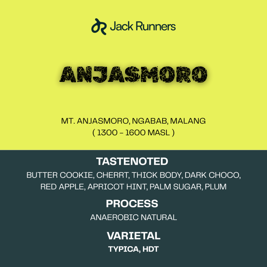 Jual JACK RUNNERS ROASTERY - ANJASMORO GREEN BEANS COFFEE 1KG | Shopee ...