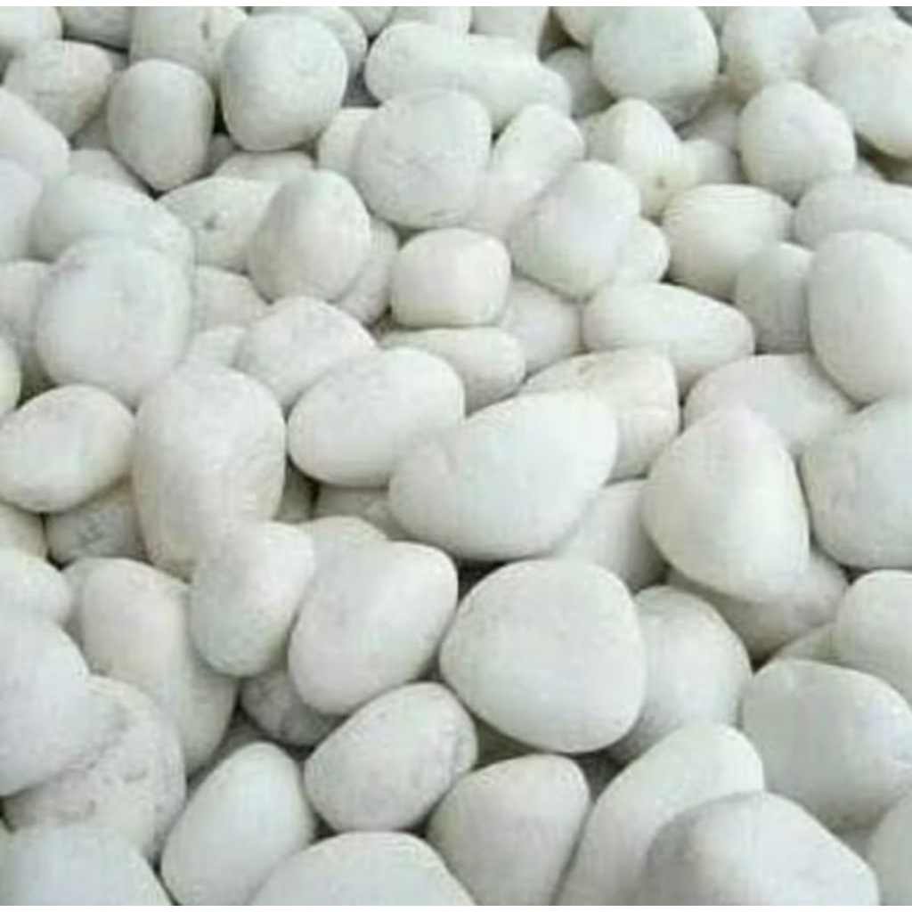 Jual Batu koral putih - batu hiasan - batu taman 1kg | Shopee Indonesia