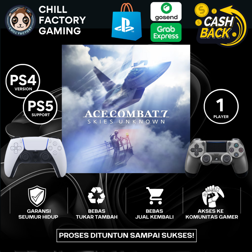 Jual Ace Combat 7: Skies Unknown PS4 PS5 - Standard / Top Gun Maverick ...