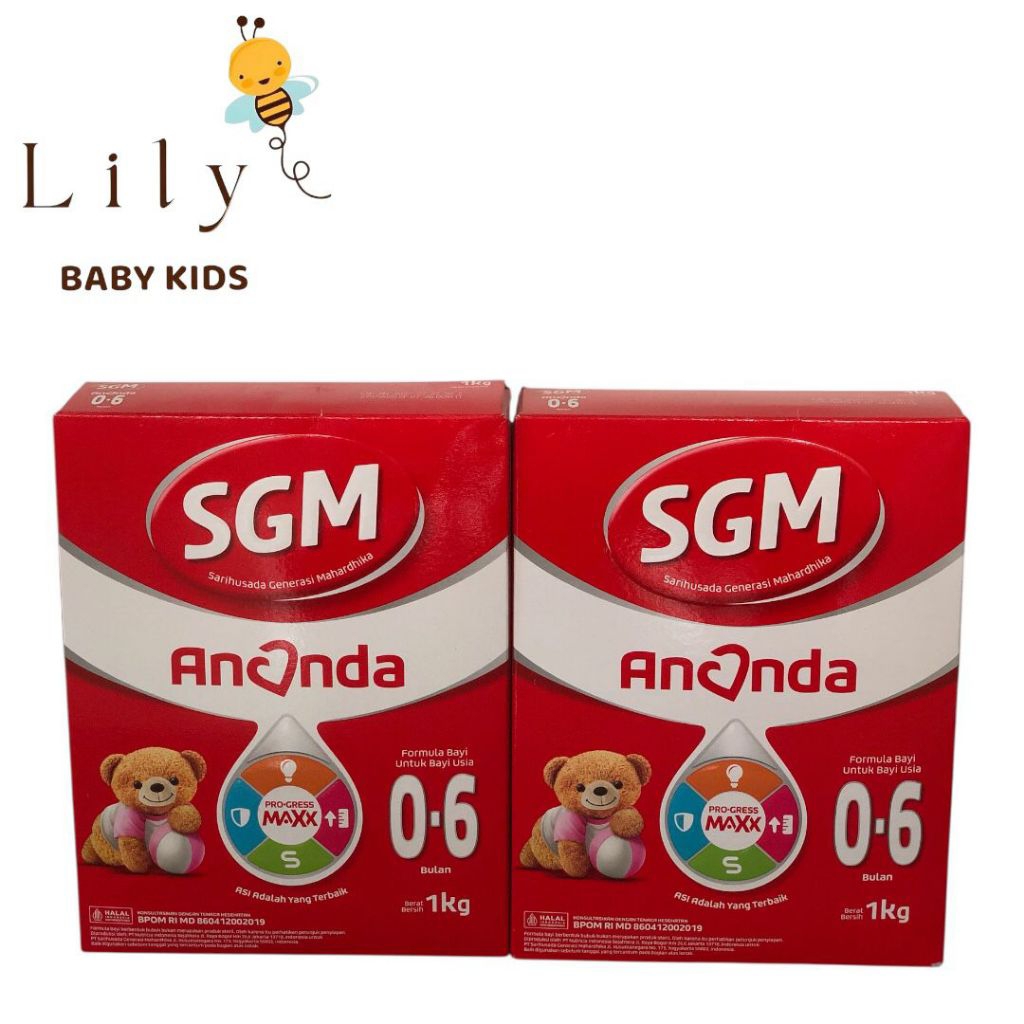 Jual SGM ANANDA 0-6 BULAN 1KG | Shopee Indonesia