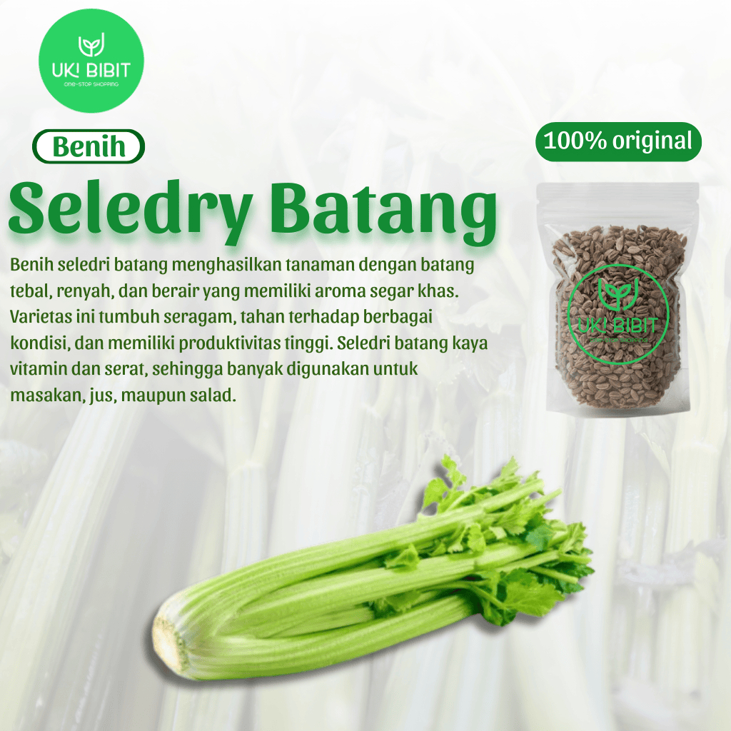 Jual ( 100 Butir ) Benih Biji Seledri Batang Besar | Celery Tall Utah ...