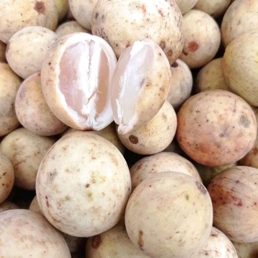 Jual Duku manis palembang/duku segar/buah duku/duku lahat | Shopee ...