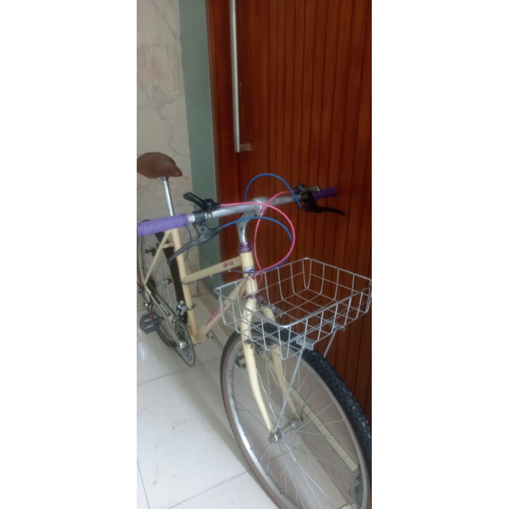 Jual sepeda Federal lady wild cat 26 vintage commuter kalcer | Shopee ...