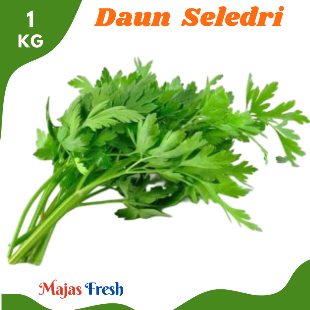 Jual DAUN SELEDRI Hijau Segar - Sayur Daun Sop Seledri Lokal Fresh | 1 ...