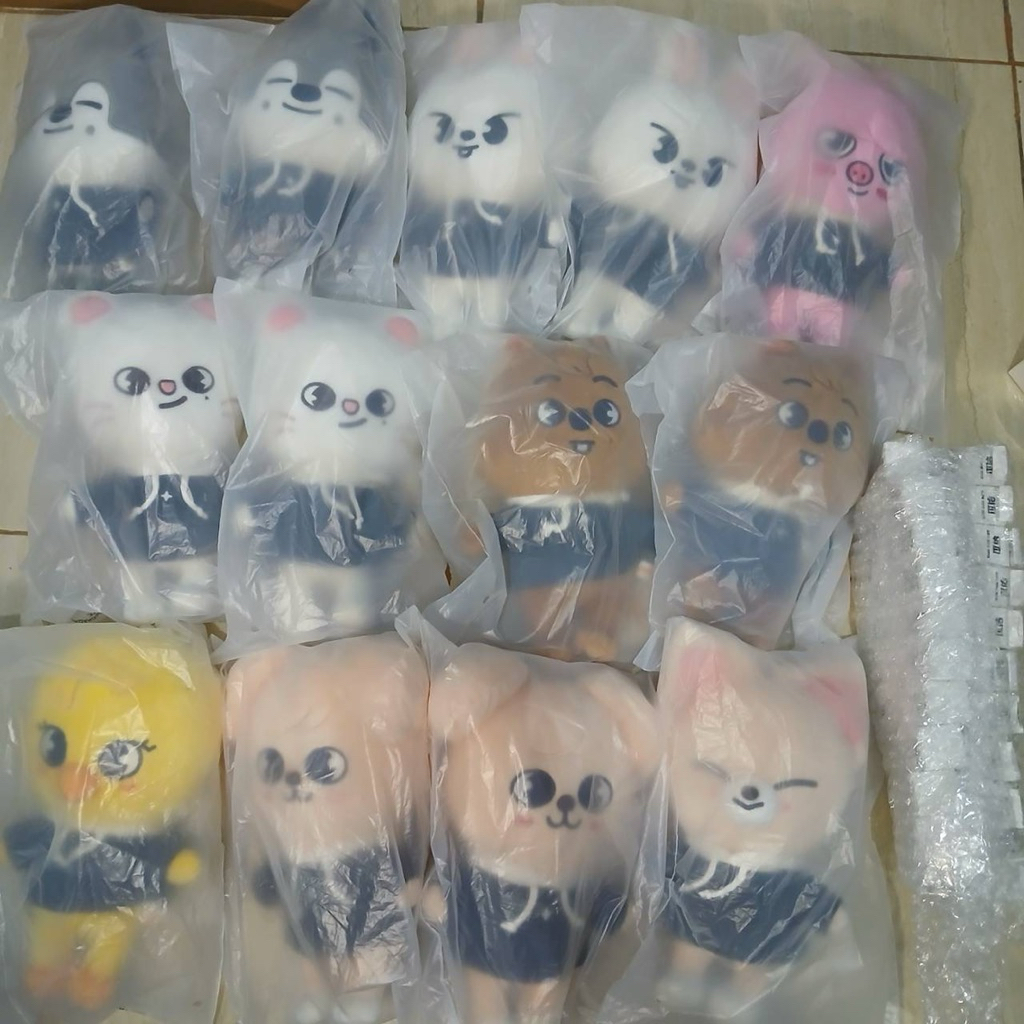 Jual [READY STOCK] OFFICIAL Merchandise Stray Kids Magic School Plush ...