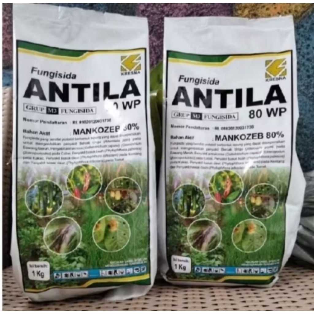 Jual Antila 1kg | Shopee Indonesia