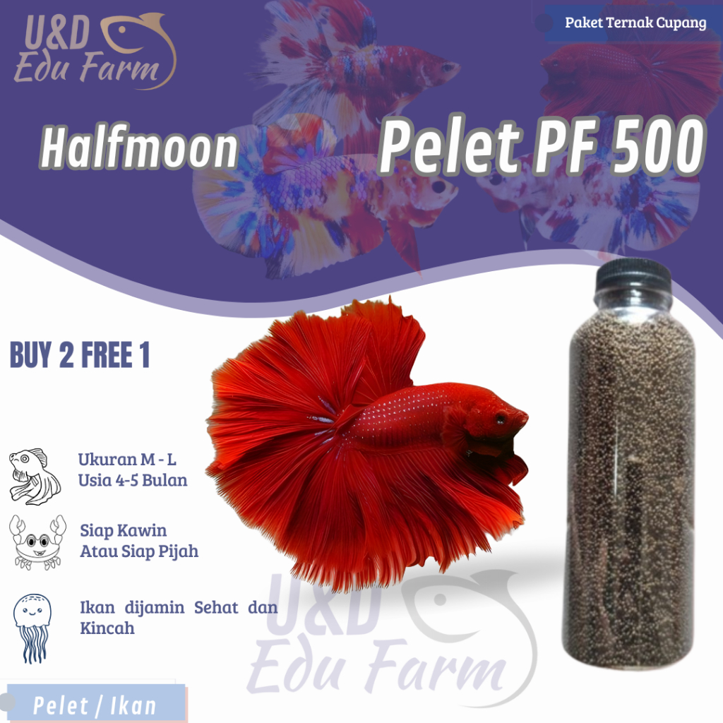 Jual Pelet PF 500 Halfmoon Super Red Free Garansi | Shopee Indonesia