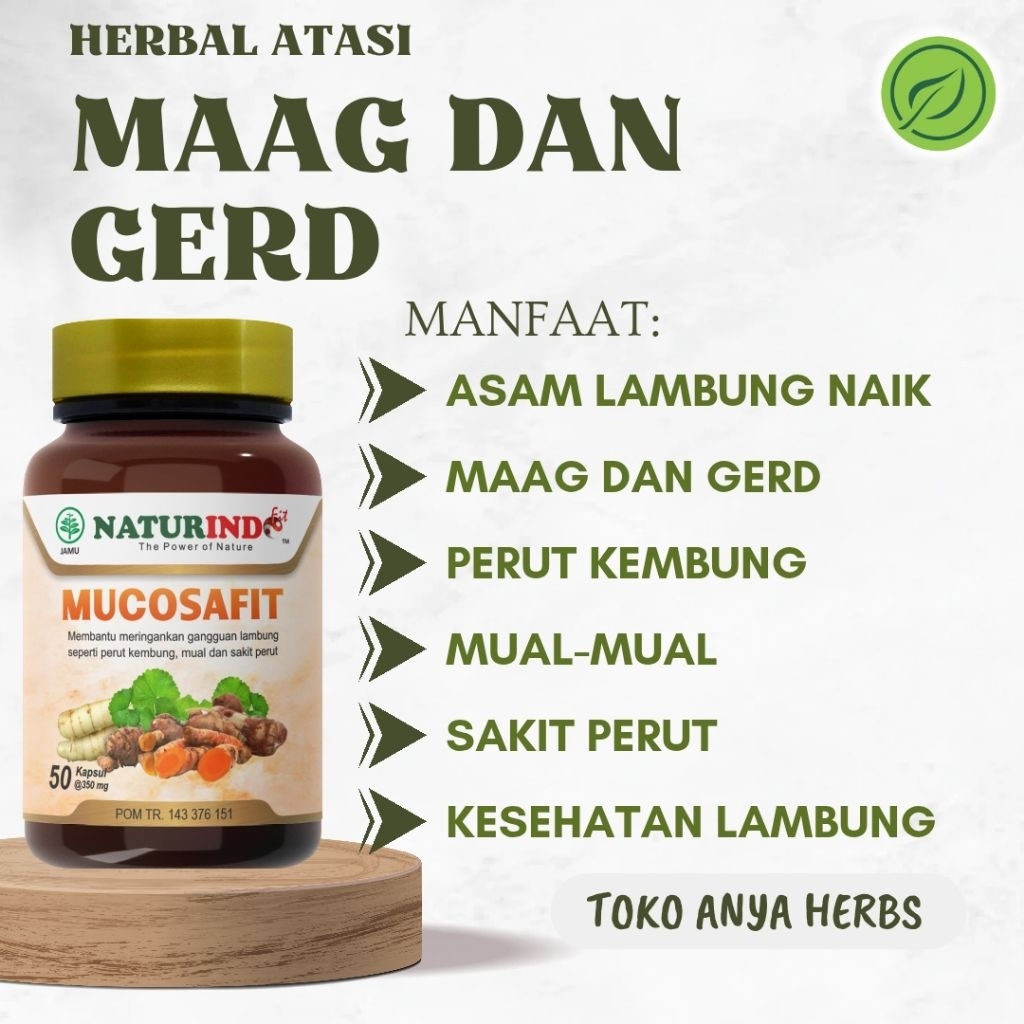 Jual MUCOSAFIT Obat Herbal Gerd Asam Lambung Maag Kronis Radang Lambung ...