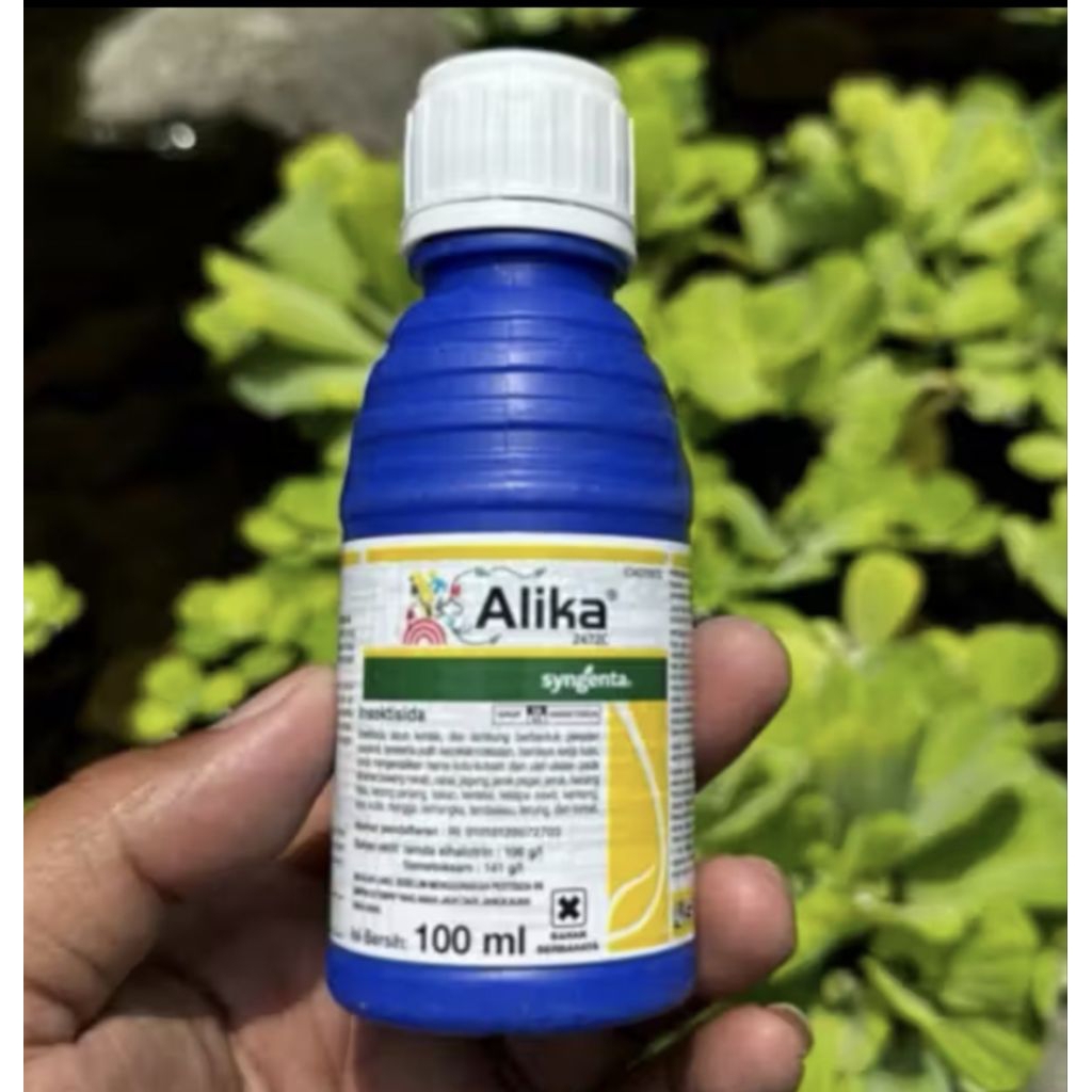 Jual Insektisida Syngenta Alika 247 ZC 100ml - Kontak & Lambung ...