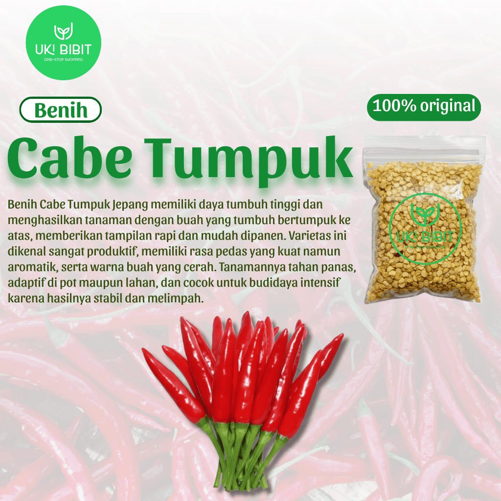 Jual ( 10 Butir ) Benih Biji Cabe Mahkota Tumpuk Jepang | Red Cluster ...