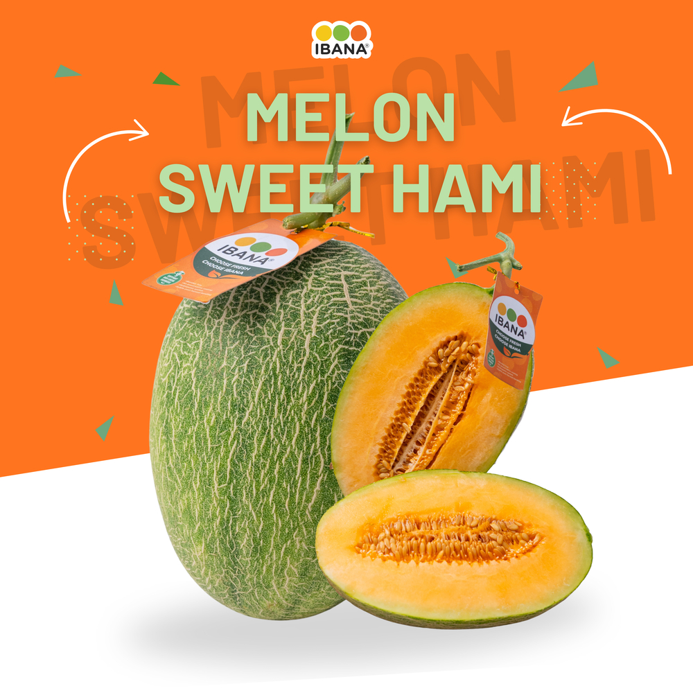 Jual Melon Sweet Hami IBANA | Shopee Indonesia