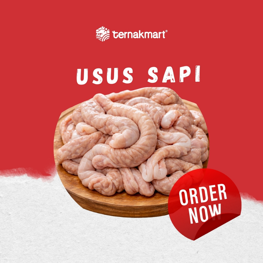 Jual Promo Ternakmart Usus Sapi 1kg | Shopee Indonesia