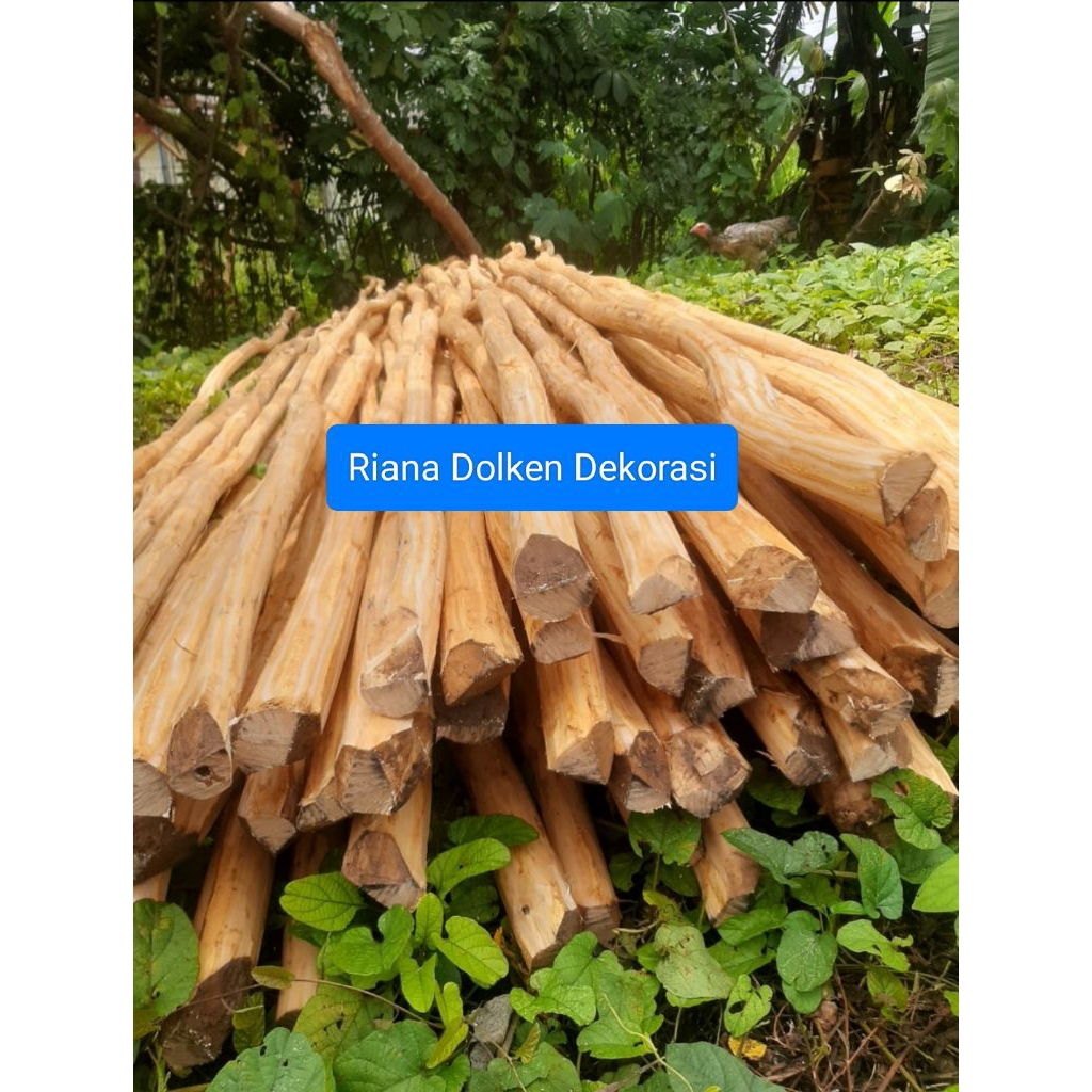 Jual Kayu Gelam Terlengkap & Harga Terbaru Mei 2026 | Shopee Indonesia