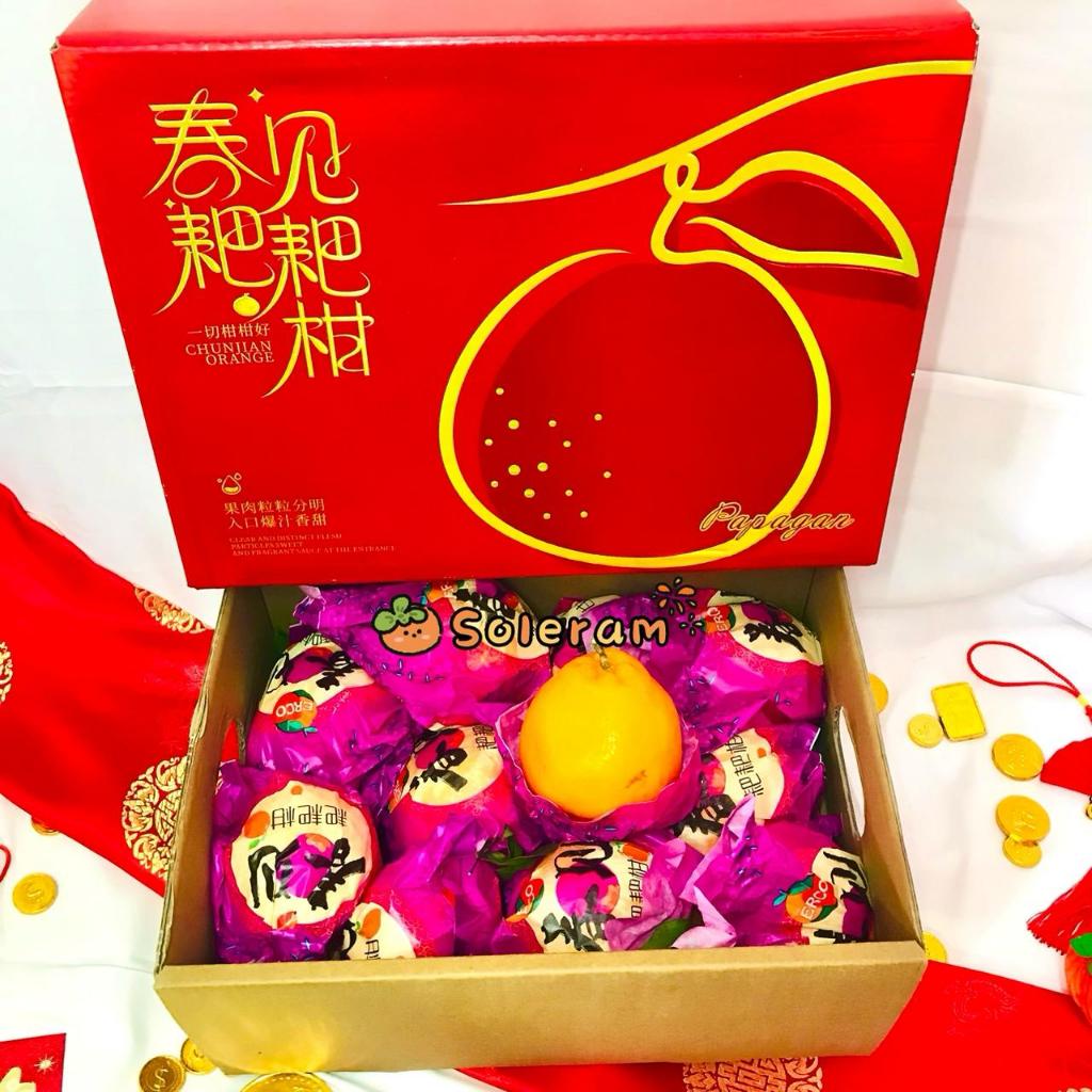 Jual Jeruk Dekopon Chunjian Golden Orange Gift Box | Shopee Indonesia