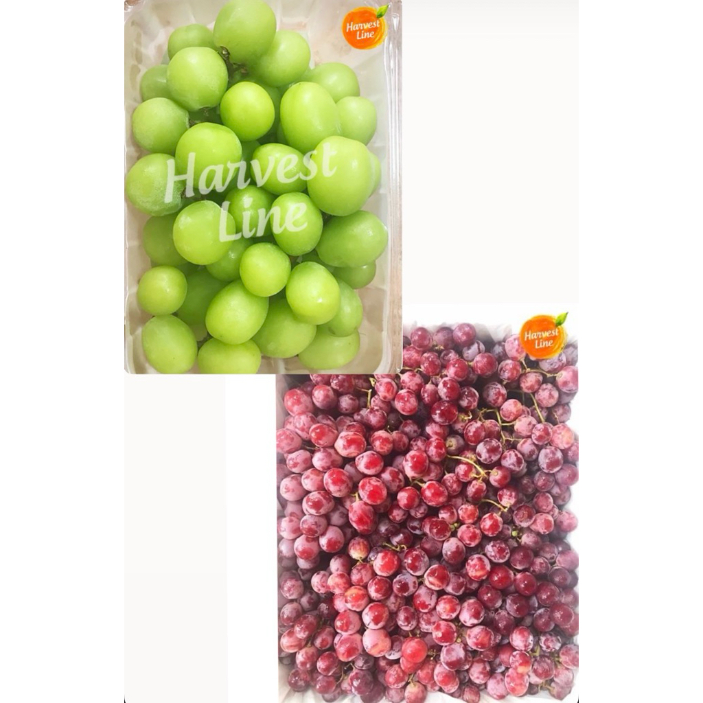 Jual Anggur Shine Muscat 1KG Grapes Seedless [HARVEST LINE] | Shopee ...