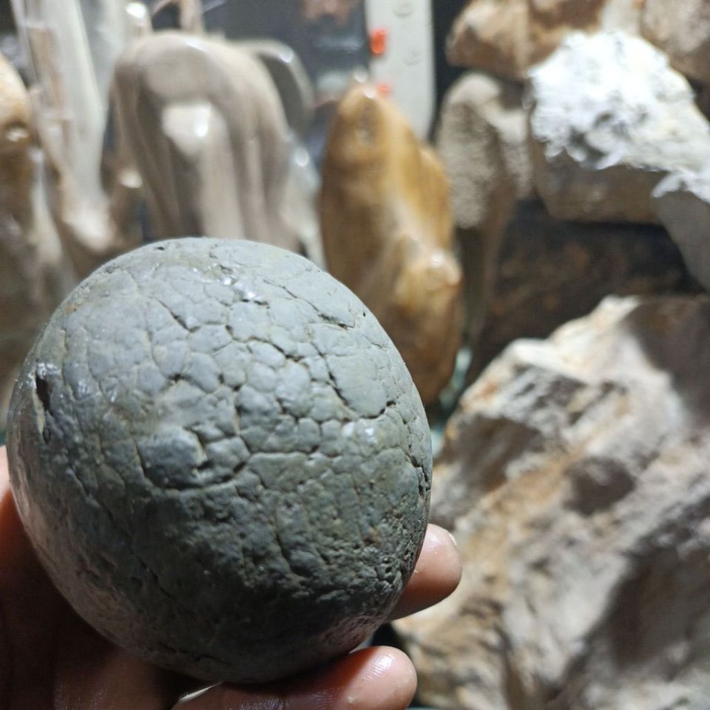 Jual posil buah pinango(1kg) | Shopee Indonesia