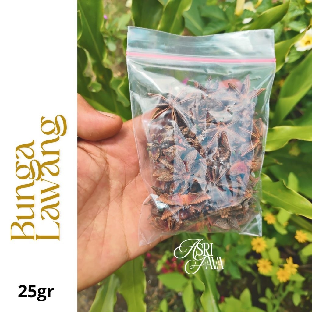 Jual Bunga Lawang Kering 25gr Asri Java | Rempah Dapur Aromatik untuk ...