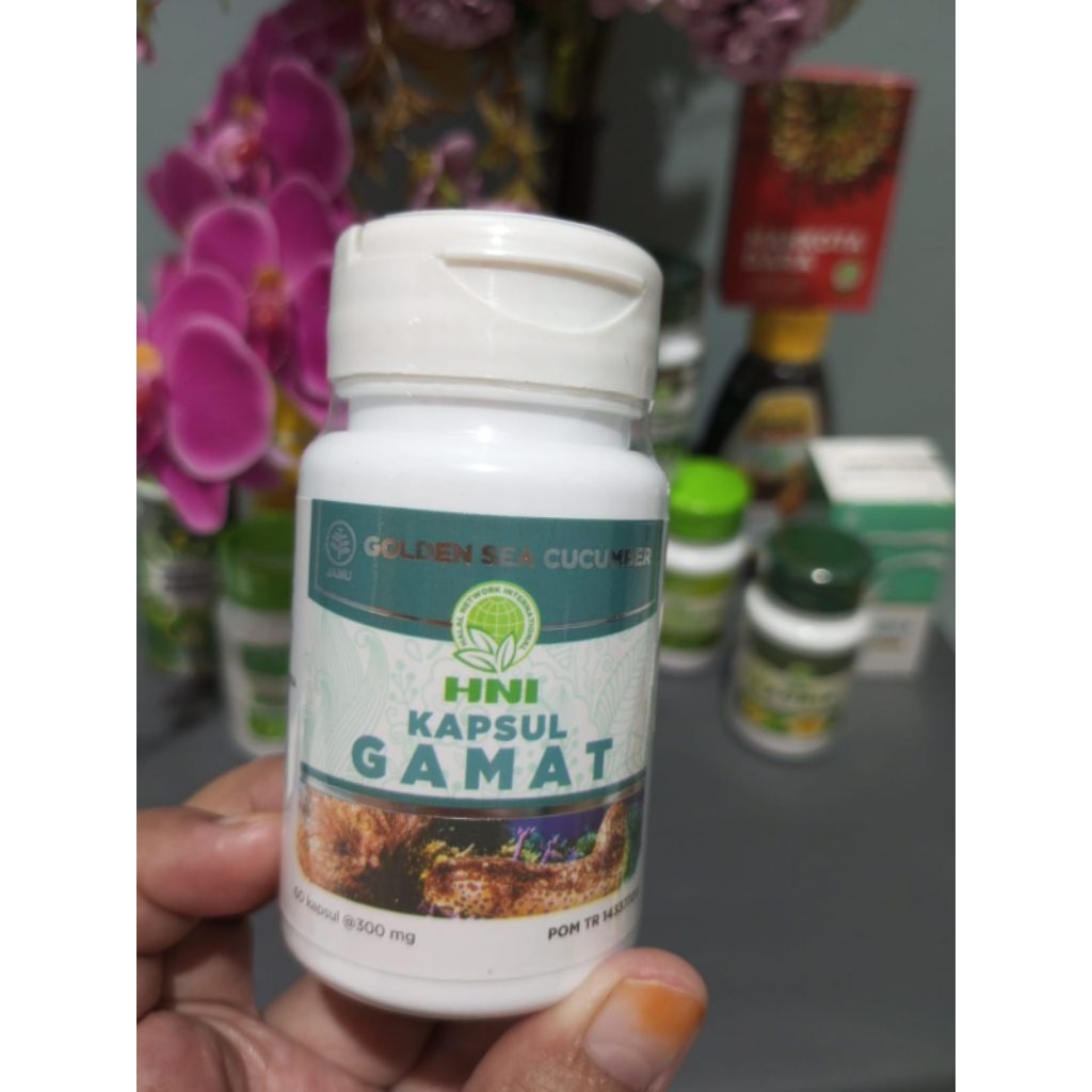 Jual Gamat Emas HNI HPAI | Shopee Indonesia