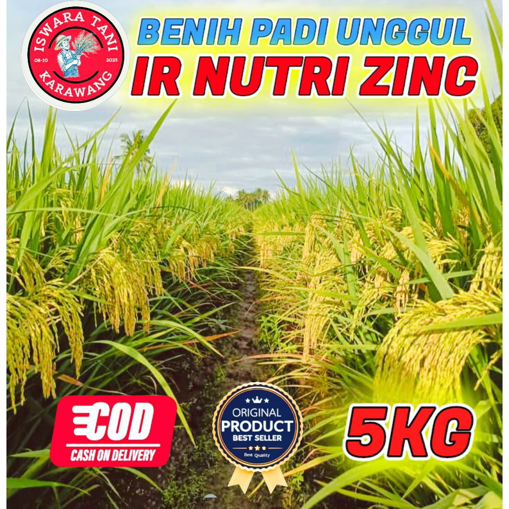 Jual BENIH PADI BERKUALITAS IR NUTRI ZINC KEMASAN 5KG | Shopee Indonesia