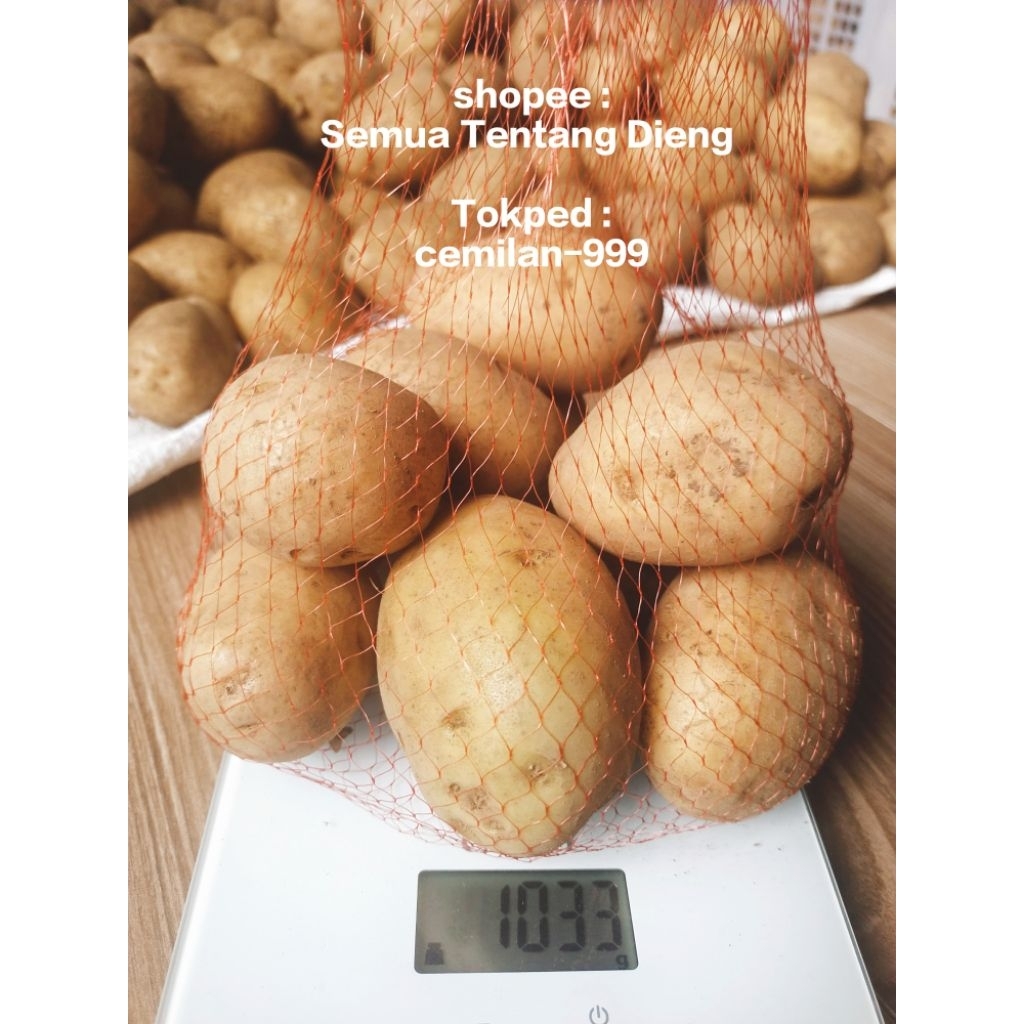 Jual Kentang AB super asli Dieng fresh langsung dari petani Dieng ...