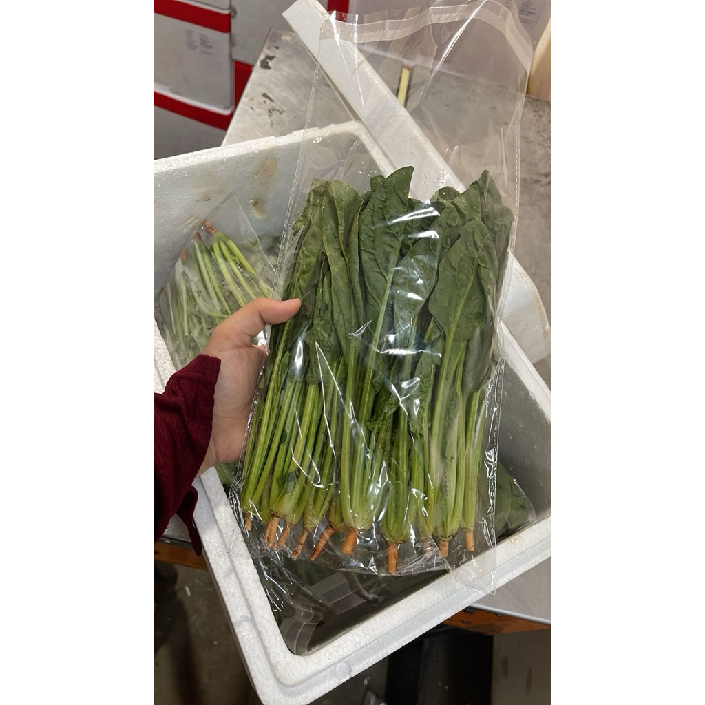 Jual Sayur Spinach 1 Dus (4 KG) Fresh Import | Shopee Indonesia