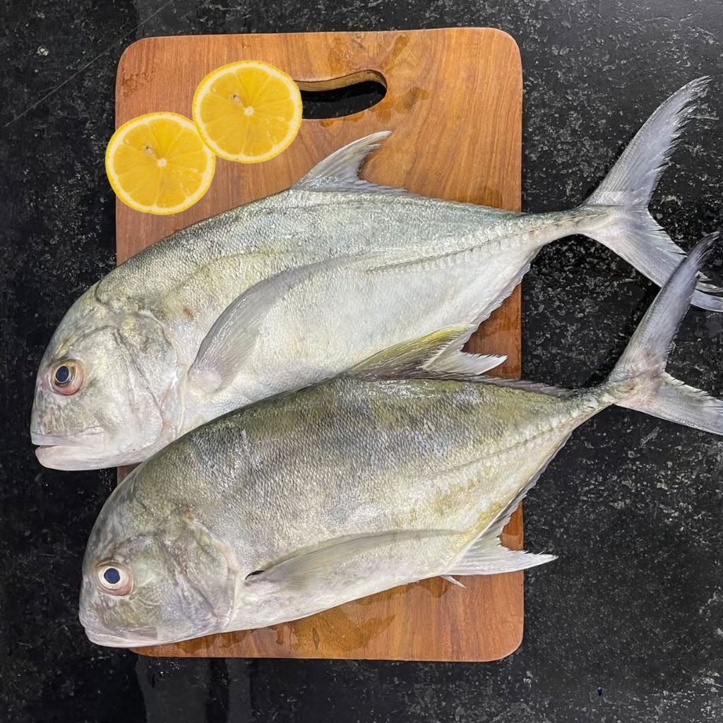 Jual Ikan Kuwe Segar Seafood Hasil Laut Segar 1 Kg Ikan Kuwe Frozen ...
