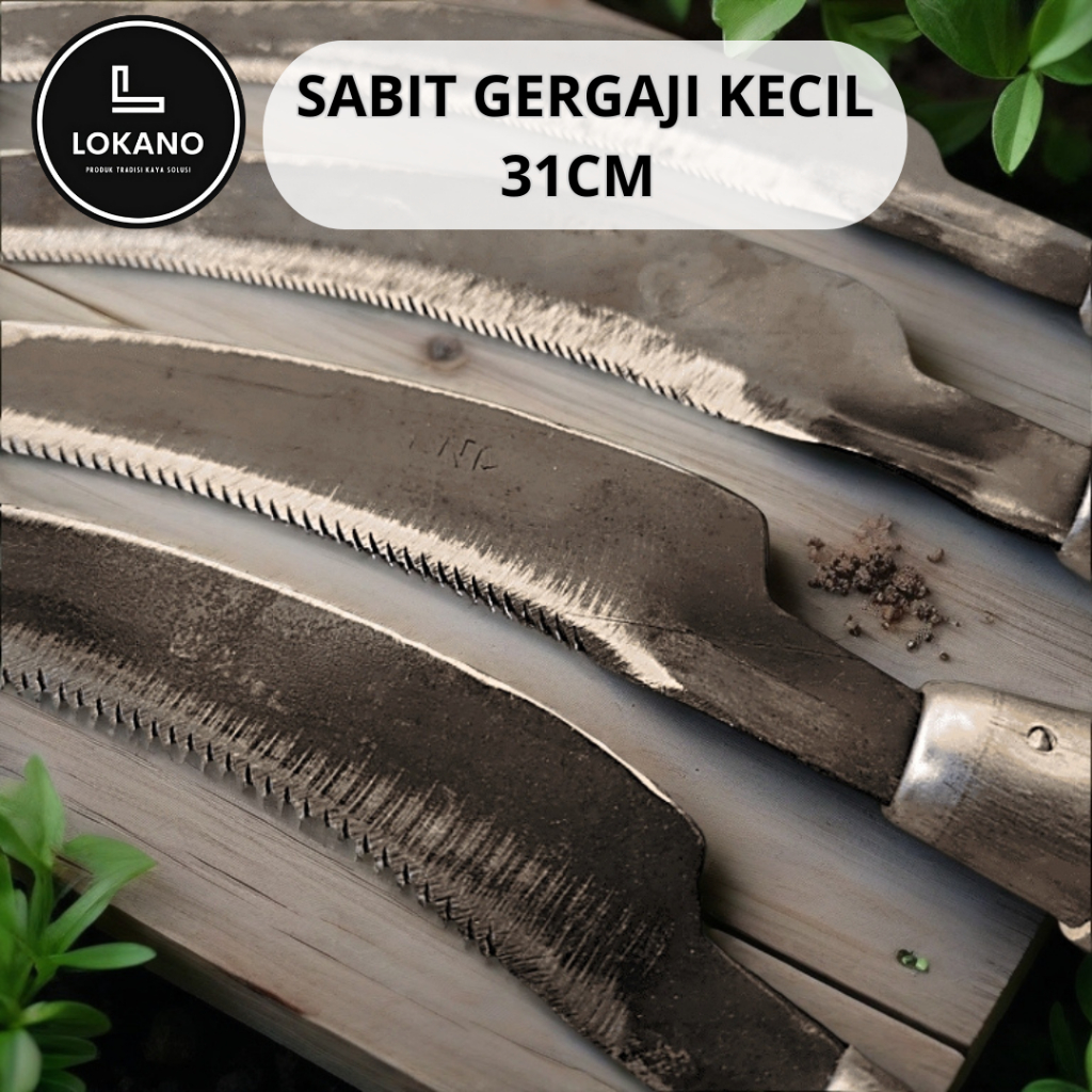 Jual Alat Panen Padi Sabit Gergaji Super Tajam Ukuran Kecil 31 cm ...