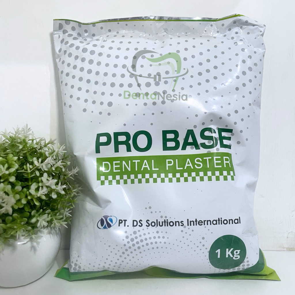 Jual Gips Putih Dental Plester Pro Base Plaster Tipe I | Shopee Indonesia