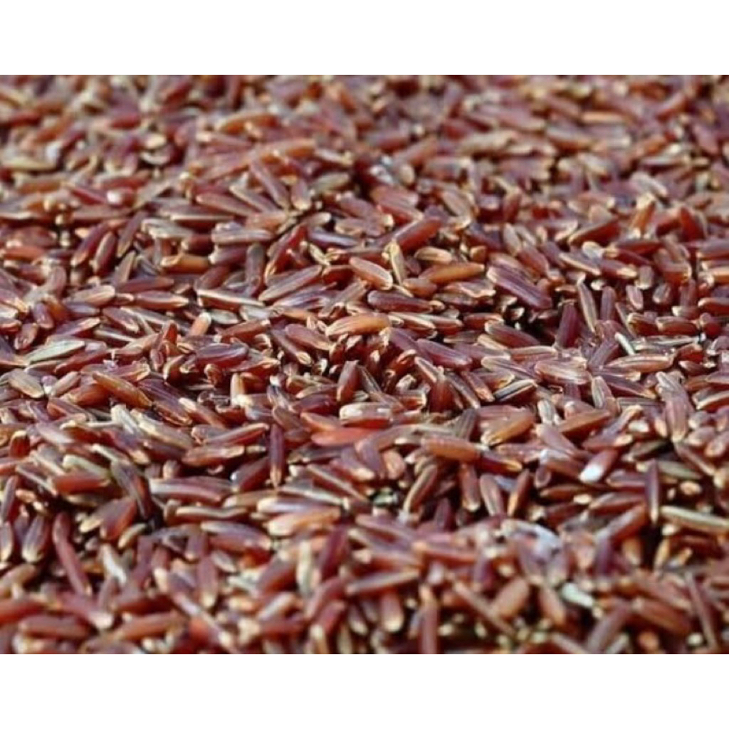 Jual beras merah 1 Butir | Shopee Indonesia
