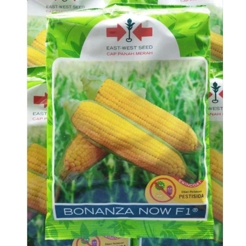 Jual Benih Jagung Manis BONANZA NOW / BONANZA MB F1 Cap Panah Merah ...