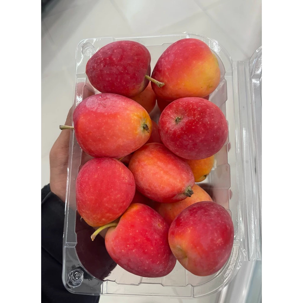 Jual Apel Cherry / Apple Strawberry – Manis Fresh Premium 1 Pack ±500gr ...